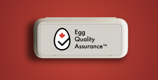 Trust in Every Egg: The Egg Quality Assurance™ (EQA®) Certification ...